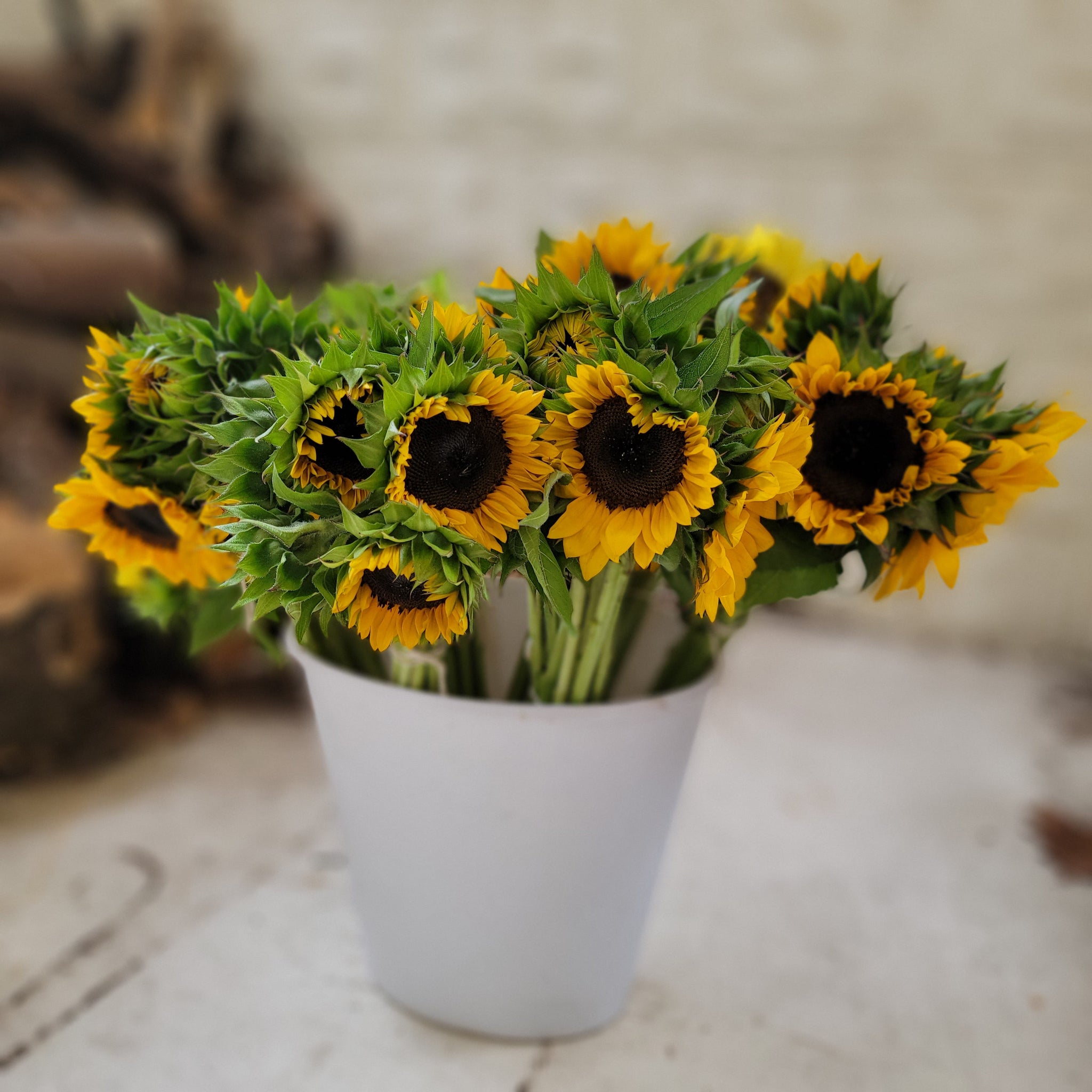 Sunflowers – Joy and Positivity